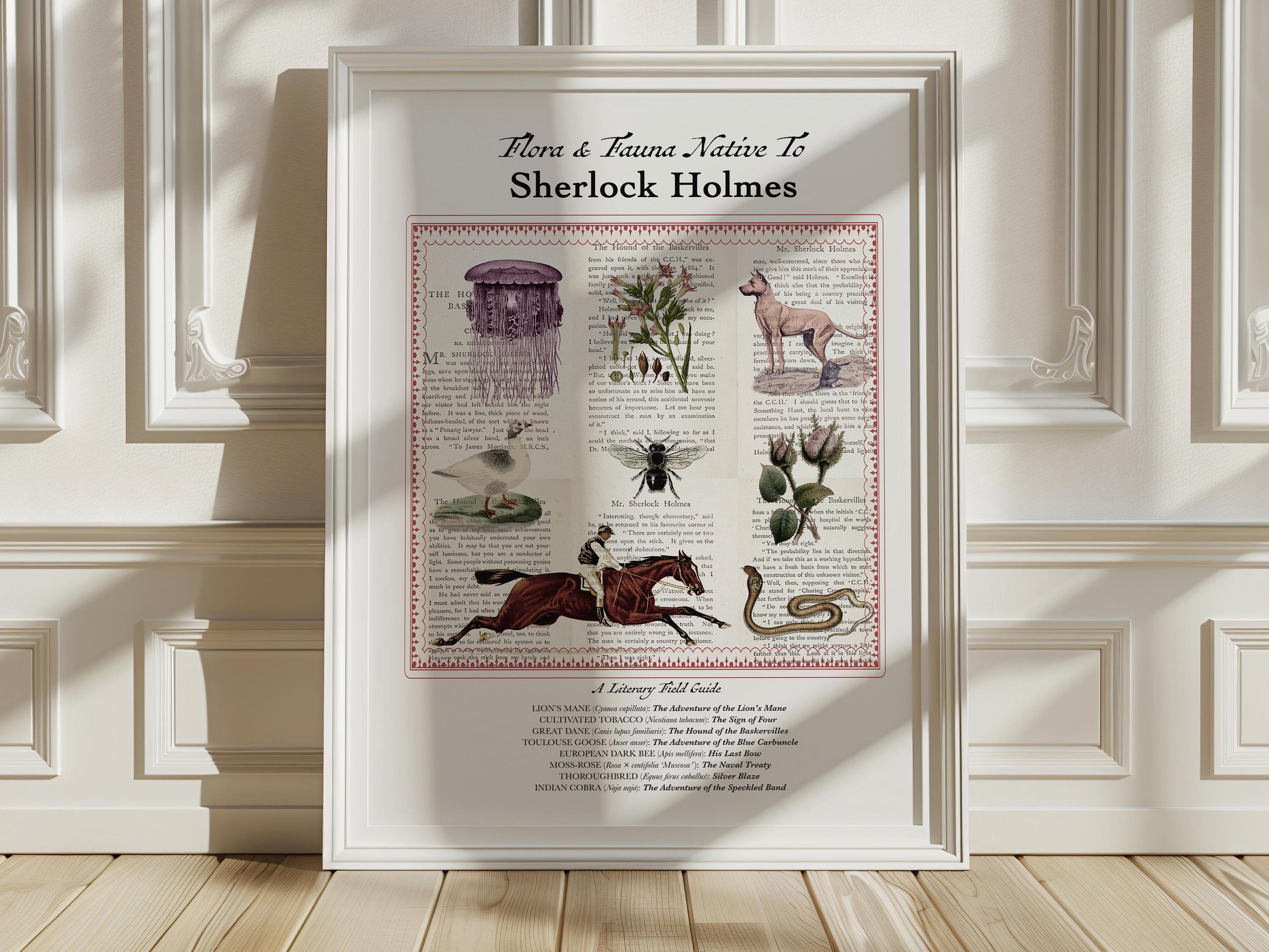 Sherlock Holmes Literary Field Guide & Vintage Natural History Collage ...