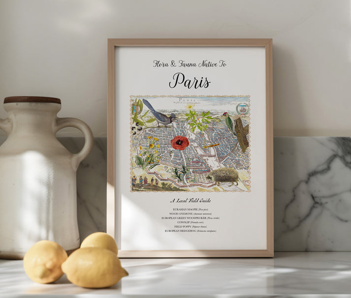 Paris, France — Vintage Natural History Collage – Natural History Collages